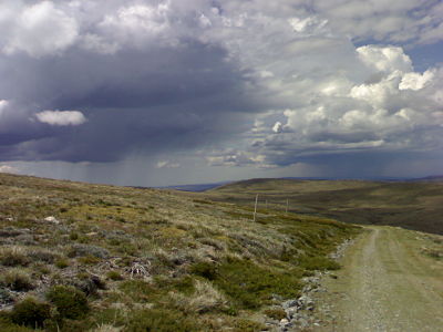 Why cattle will never again roam free in the Victorian high country ...