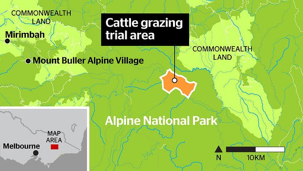 Alpine Grazing – Mountain Journal