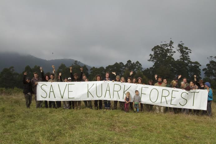 The Kuark forest – Mountain Journal