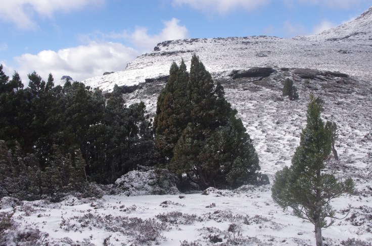 Traditional owner aspirations for the VIC high country – Mountain Journal