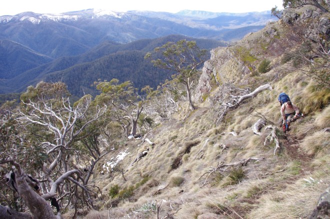 The Bluff – Mt Howitt ski guide – Mountain Journal
