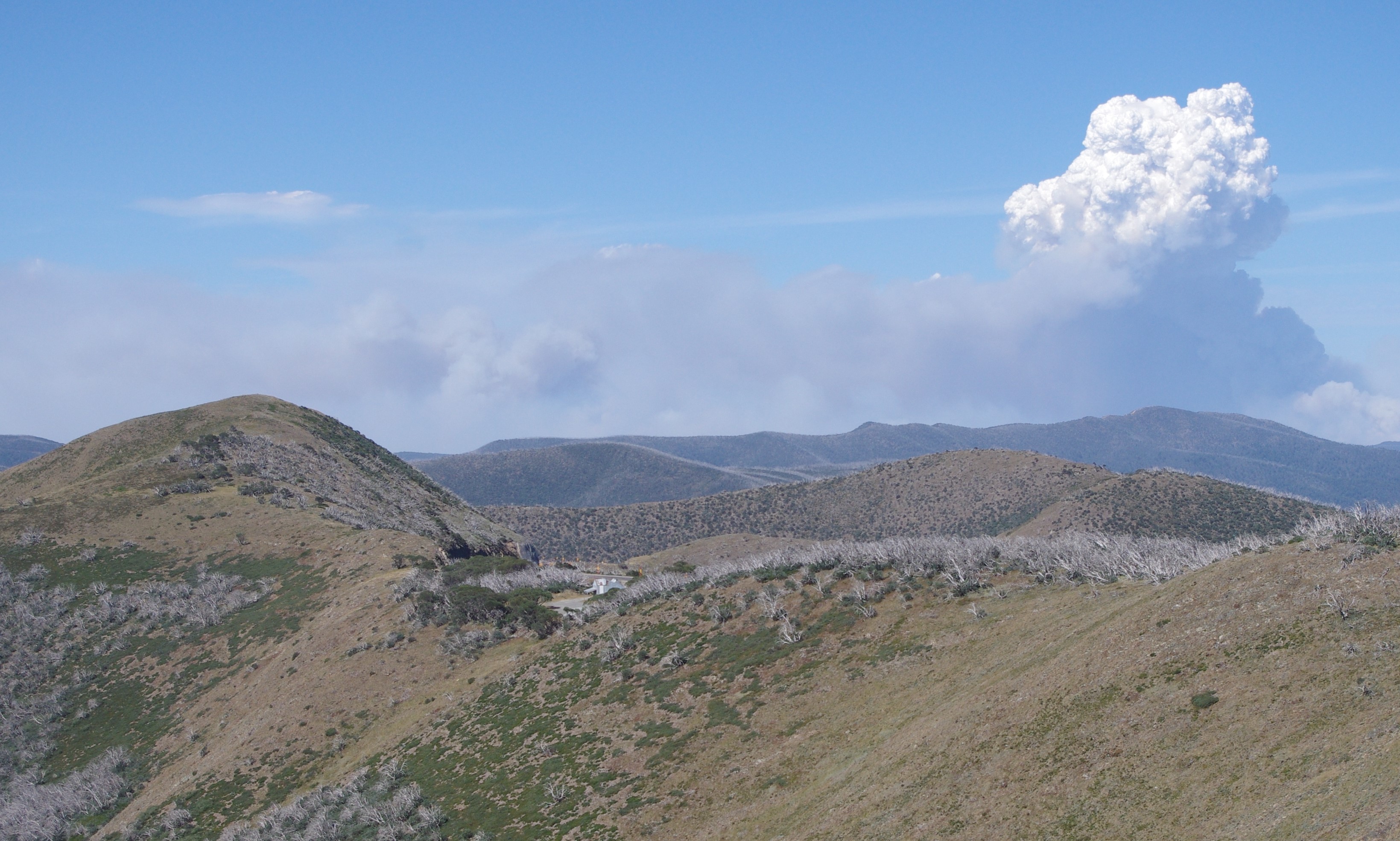 An ‘unprecedented’ number of plume dominated fires. – Mountain Journal