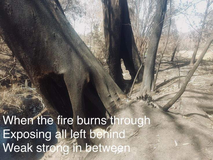 Josh Willoughby – Mountain Journal