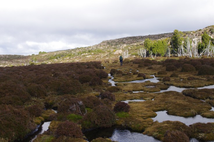 Tasmania’s south-west threatened by drought and fire – Mountain Journal