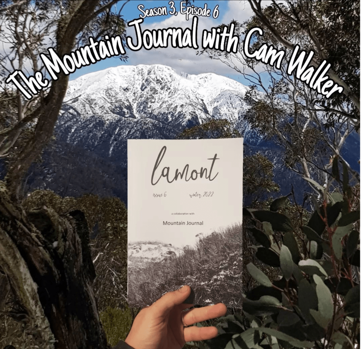 The Mountain Journal backstory – Mountain Journal