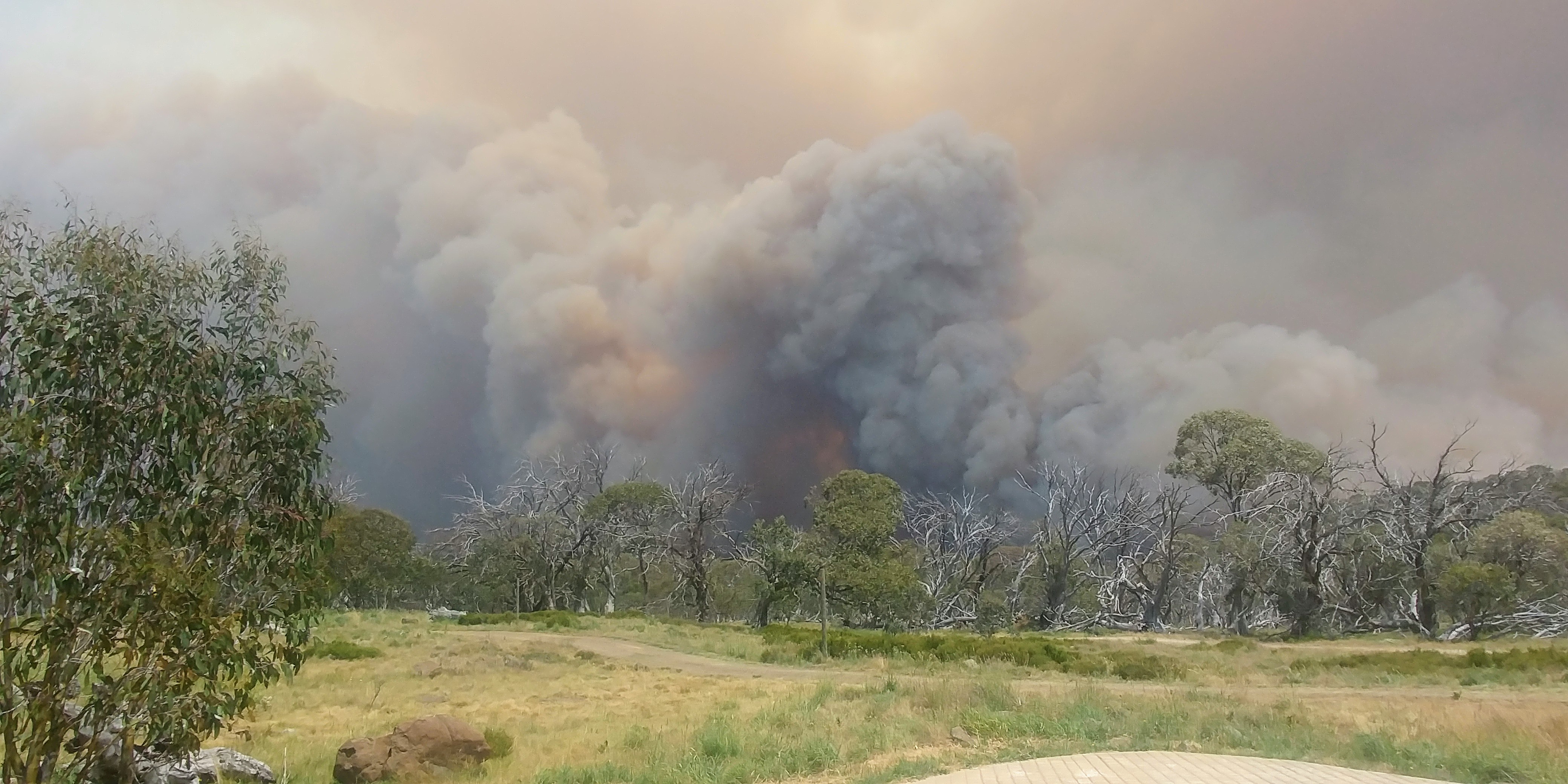 20 years on from the 2003 Alpine fires. – Mountain Journal