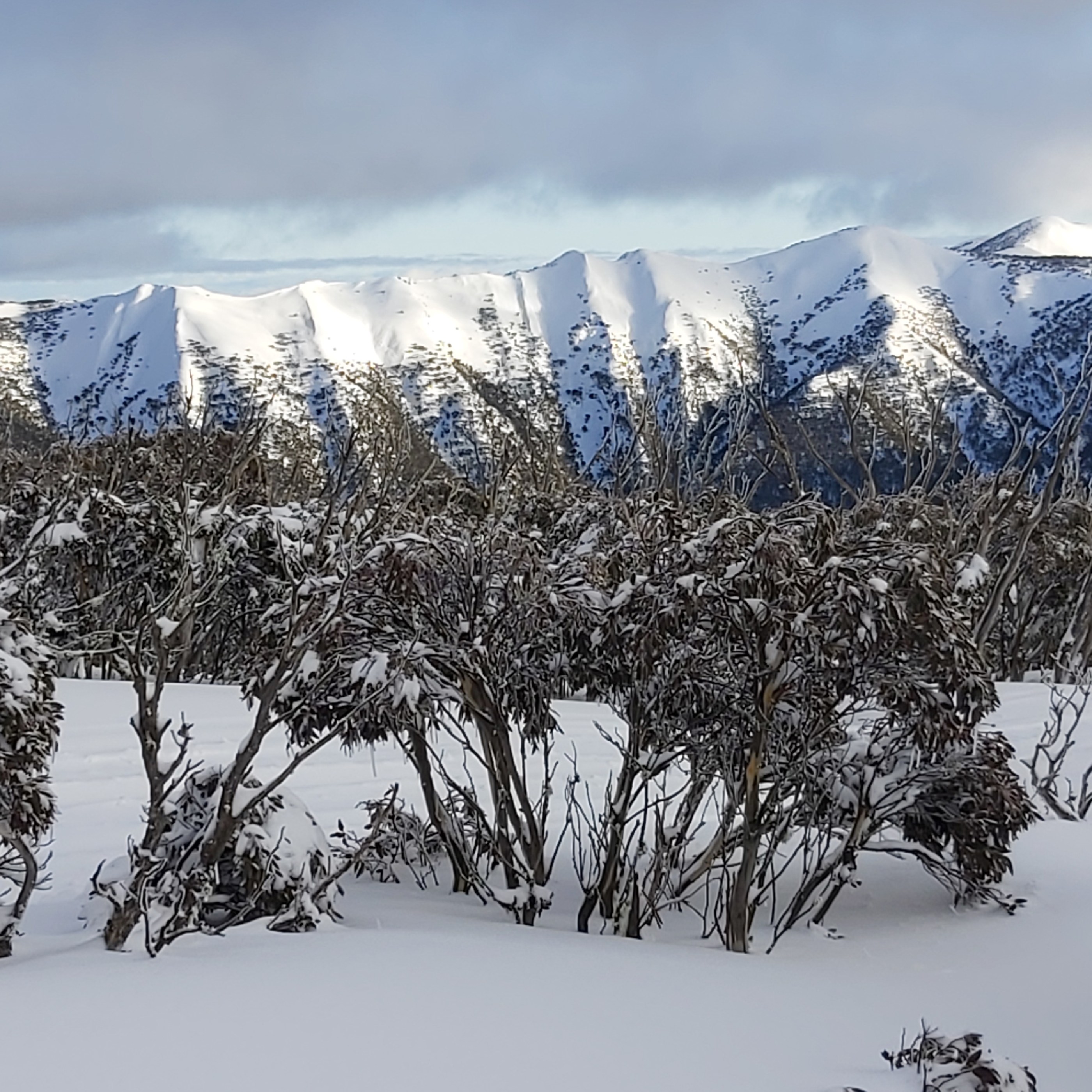 The federal gov is assessing the Falls to Hotham development – Mountain ...