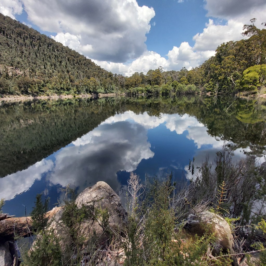 Mountain Journal – Environment, news, culture from the Australian Alps
