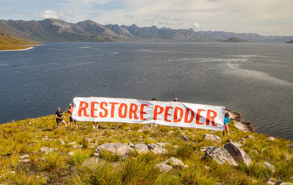2024 is a pivotal year in determining Lake Pedder’s future – Mountain ...