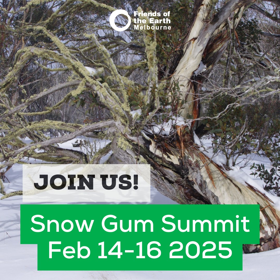 Mountain Journal – Environment, news, culture from the Australian Alps