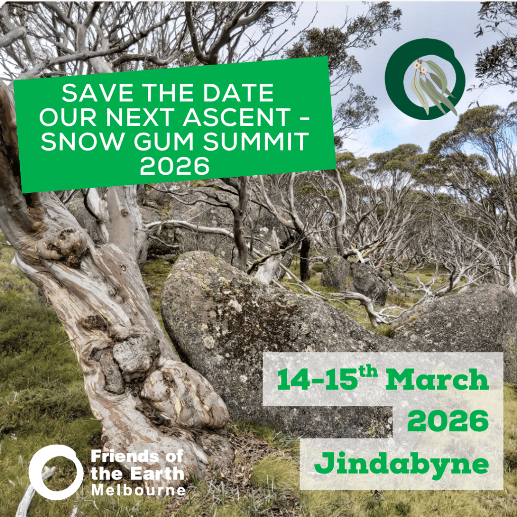 Snow gum summit tickets now on sale – Mountain Journal