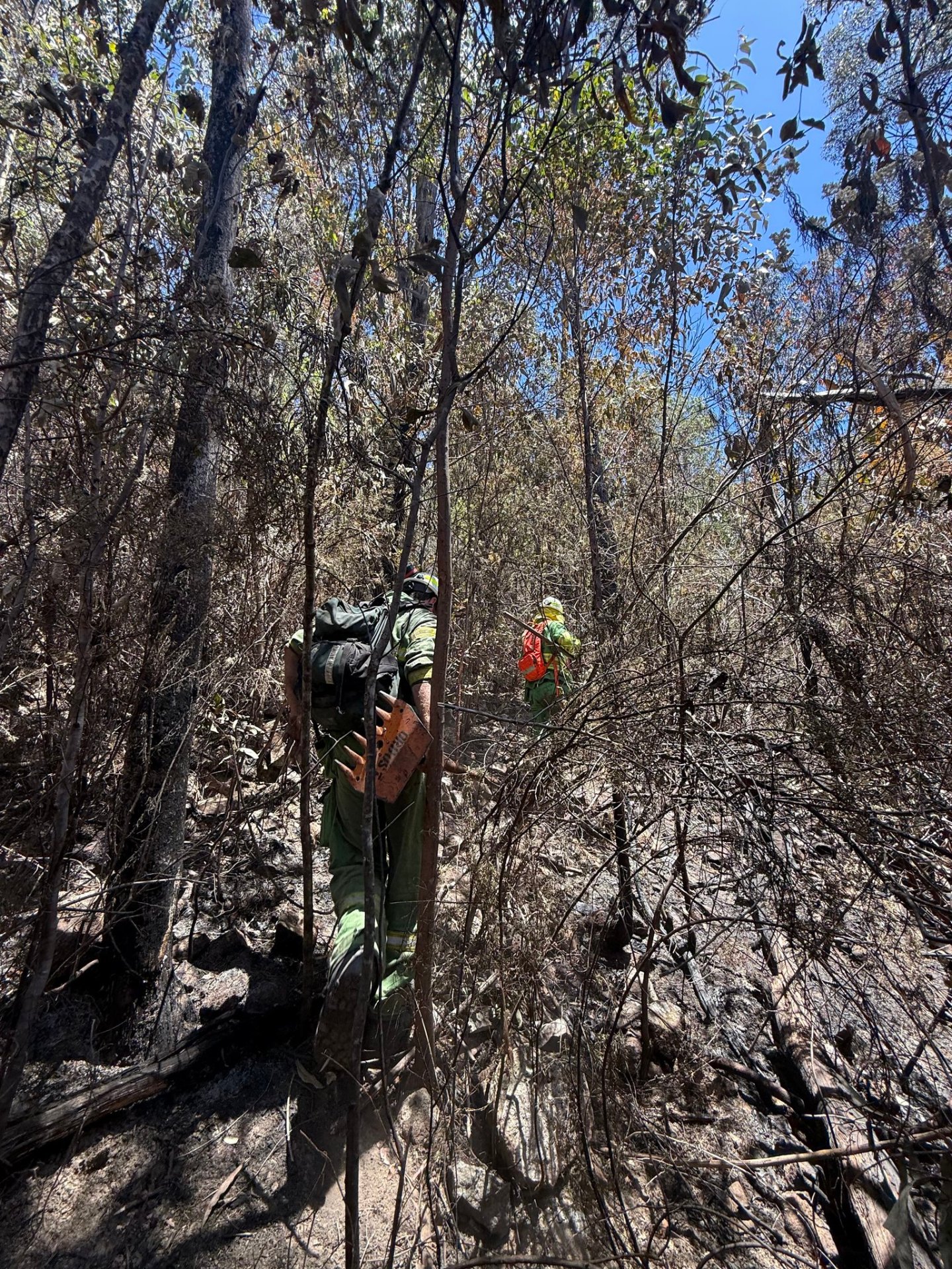 The fires of 2025/26 – Mountain Journal