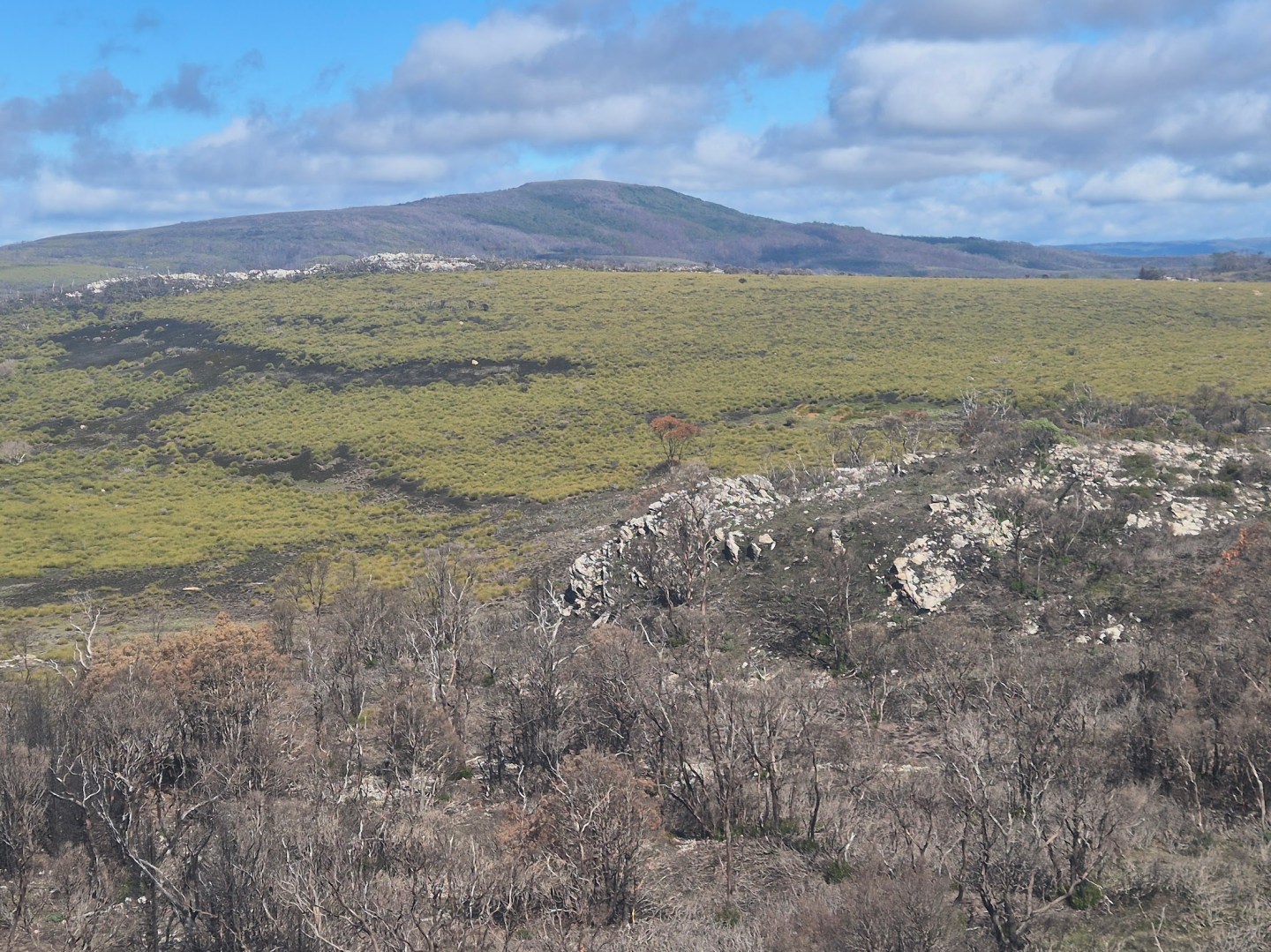 Visiting the Canning Peak fire 13 months on – Mountain Journal