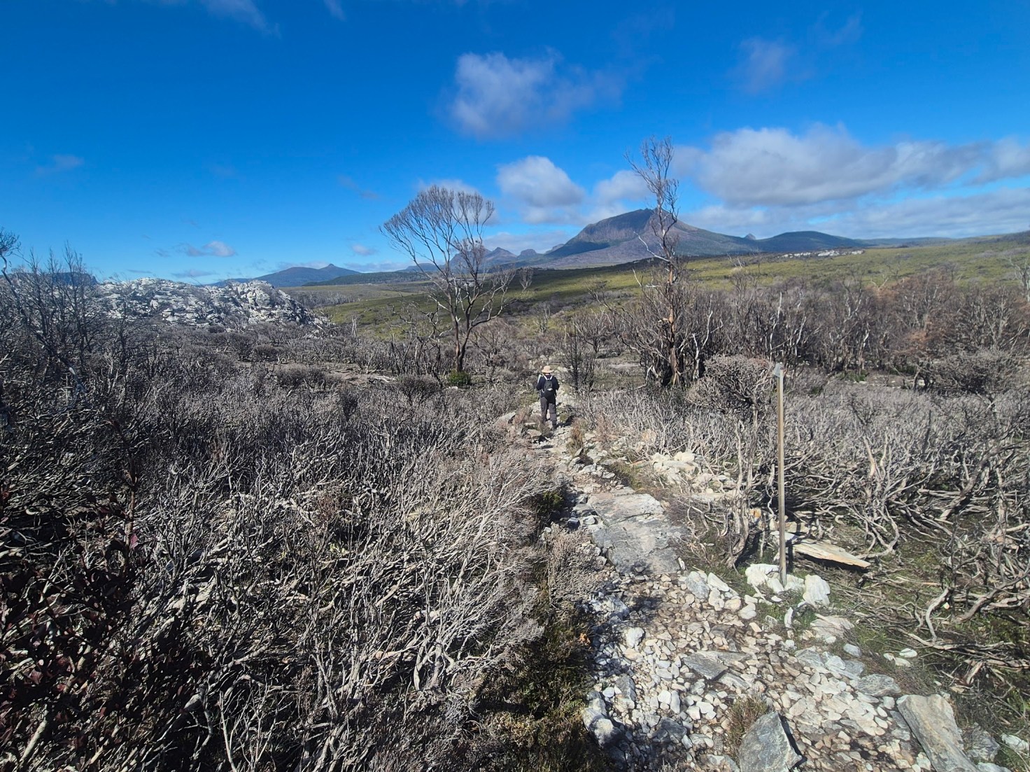 Visiting the Canning Peak fire 13 months on – Mountain Journal