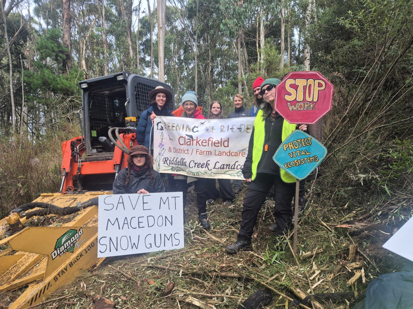 A final attempt to save snow gums on Mt Macedon – Mountain Journal