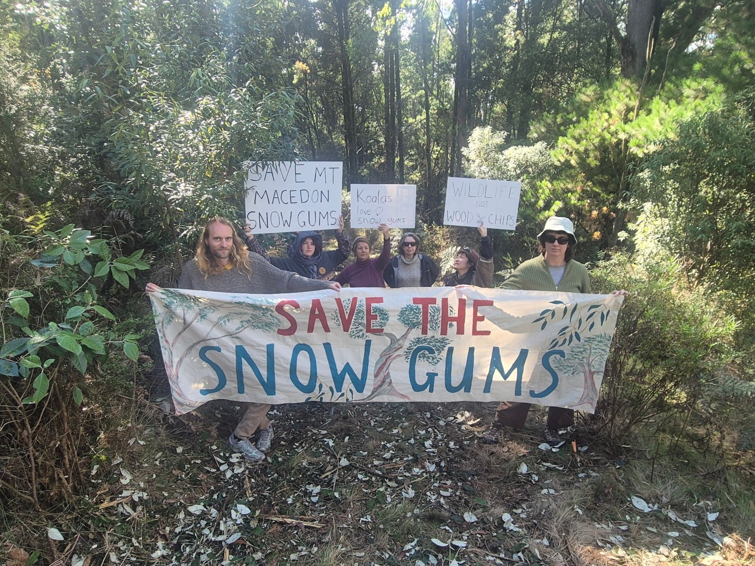 A final attempt to save snow gums on Mt Macedon – Mountain Journal